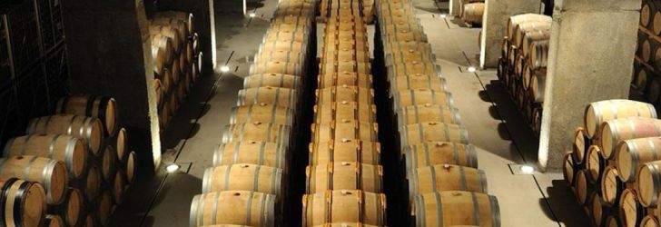 Buy a case of Pago de los Capellanes Roble 2024 - Just in Cases
