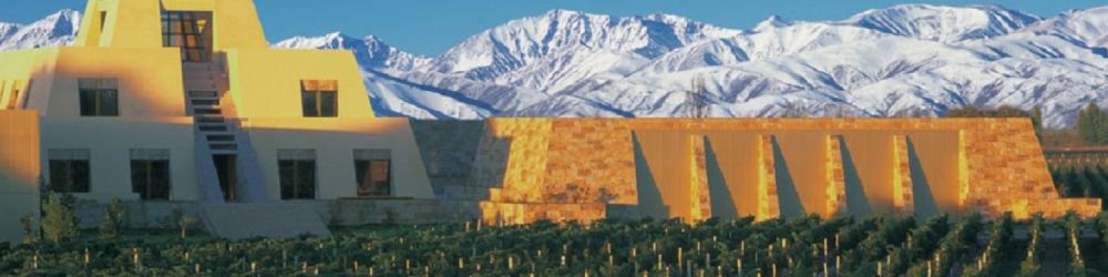 Buy a case of Bodega Catena Zapata Alamos Torrontes 2023 - Just in Cases