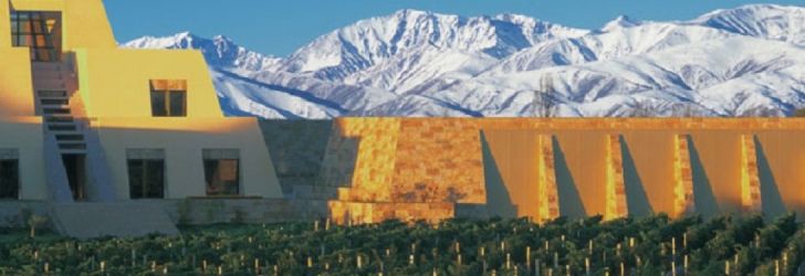 Buy a case of Bodega Catena Zapata Alamos Torrontes 2023 - Just in Cases