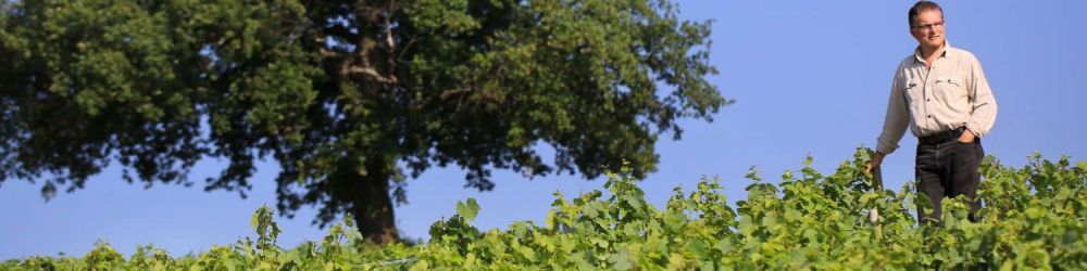 Buy Domaine Dominique Piron Wine - Just in Cases