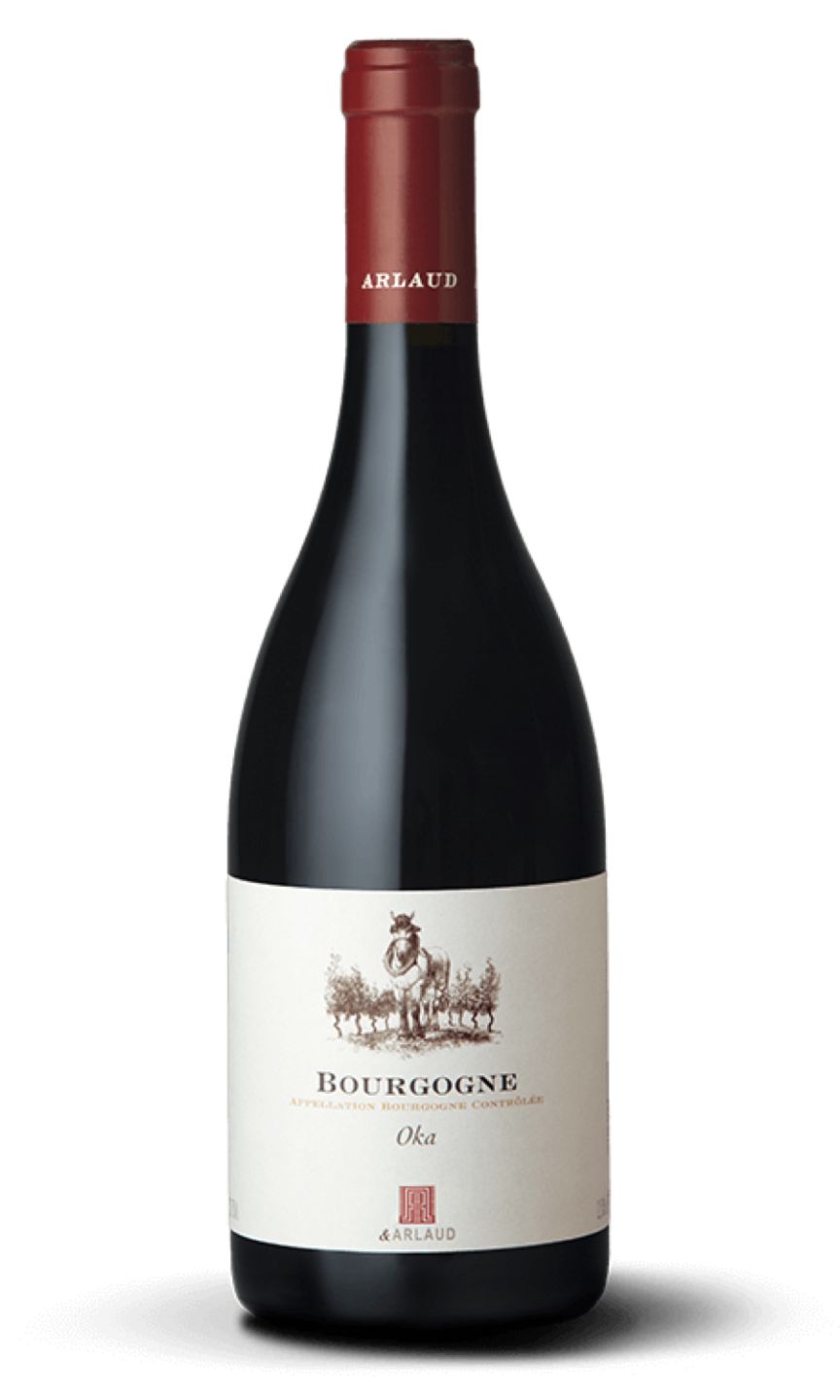 Buy a case of Domaine Arlaud Bourgogne OKA 2022 - Just in Cases