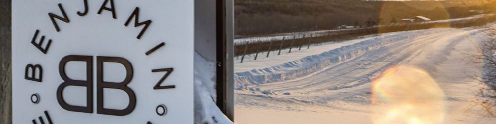 Buy Benjamin Bridge Wine - Just in Cases
