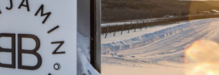 Buy Benjamin Bridge Wine - Just in Cases