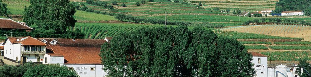 Buy a case of Dow's LBV 2020 - Just in Cases