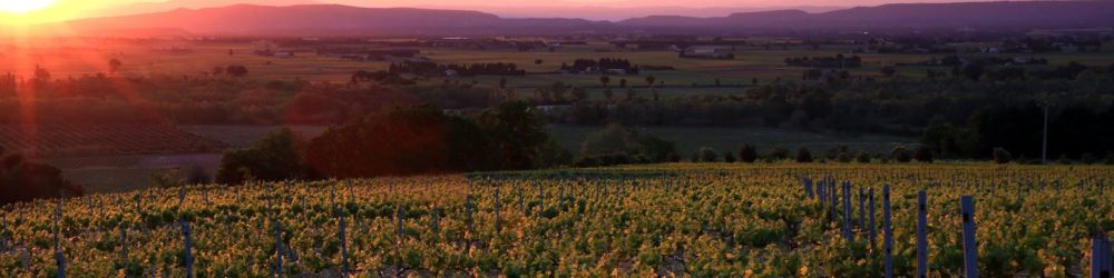 Buy Domaine Fond Croze Wine - Just in Cases