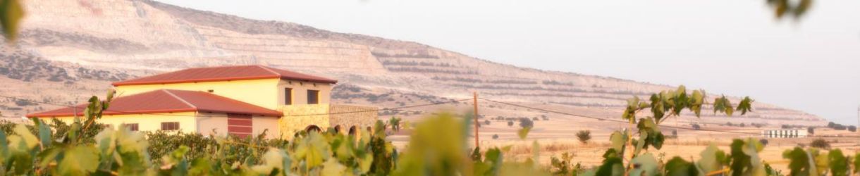 Buy a case of Kamara Shadow Play Red Xinomavro 2021 - Just in Cases