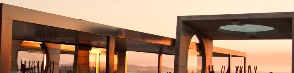 Buy Martín Códax Wine - Just in Cases