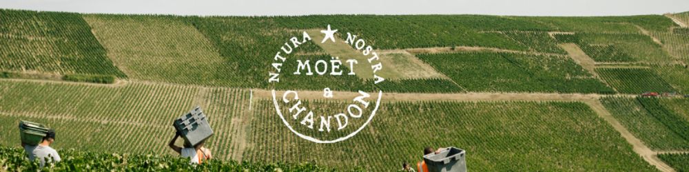 Buy Moët & Chandon Wine - Just in Cases