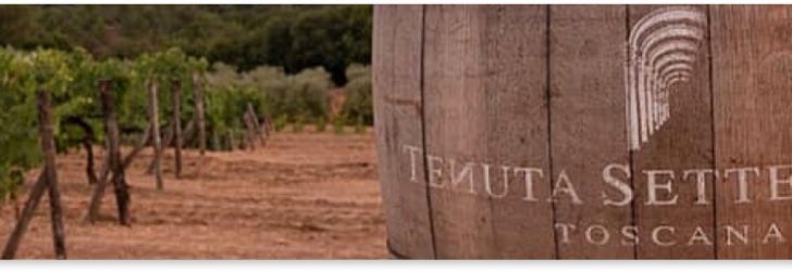 Buy a case of Tenuta Sette Ponti Crognolo 2022 - Just in Cases