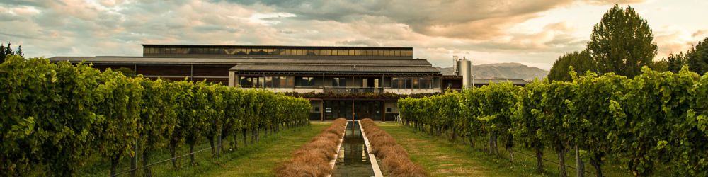 Buy Villa Maria Wine - Just in Cases